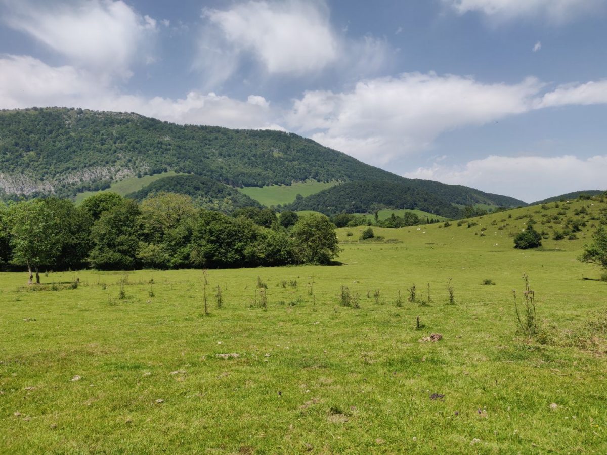 Port de Castet à CASTET - Gourette - Eaux-Bonnes - Pyrénées-Atlantiques